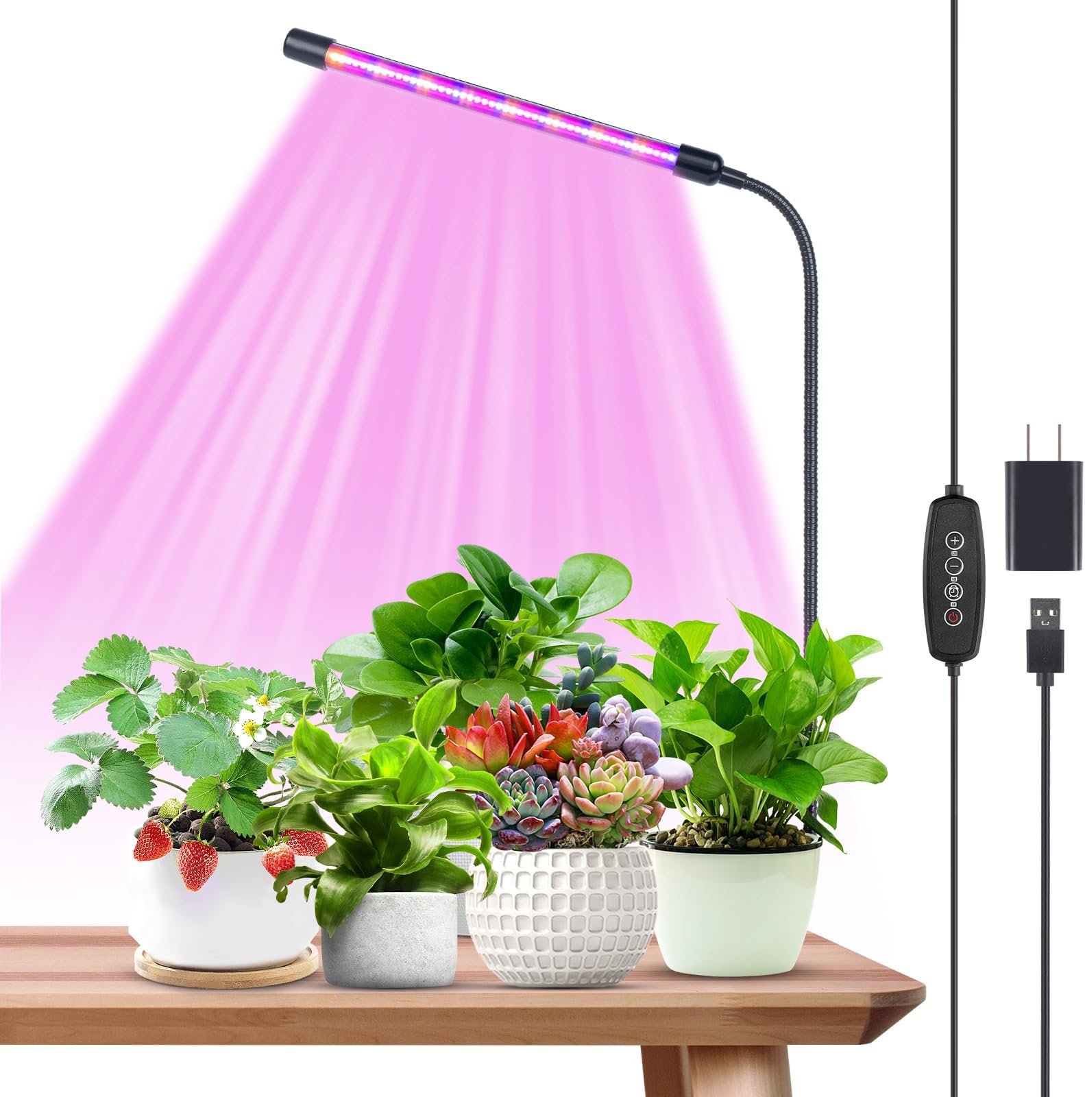 Amazon.com: LBW 48 LEDs Grow Light for Indoor Plant Growing: 6000K Red ...