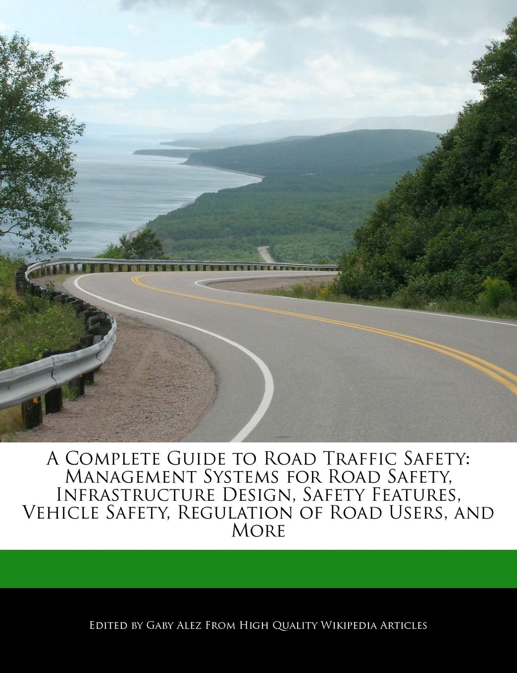 Buy A Complete Guide to Road Traffic Safety: Management Systems for ...