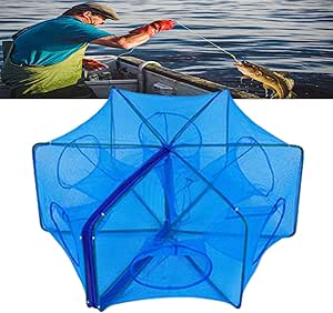 Amazon.com : Auto-Foldable Strengthened Fishing Trap Net, Crawfish Trap ...