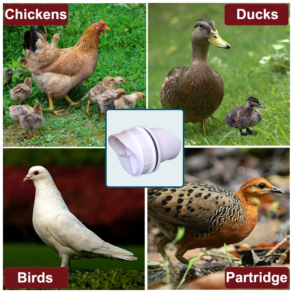 Snapklik.com : VandanCoop Automatic Chicken Feeder Port Rain Proof DIY ...