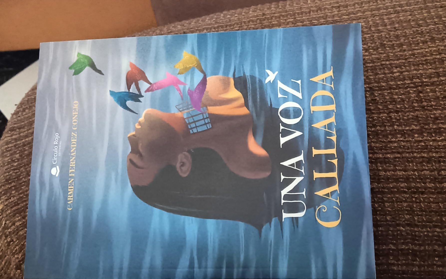 Una voz callada : Carmen Fernández Conejo: Amazon.es: Libros