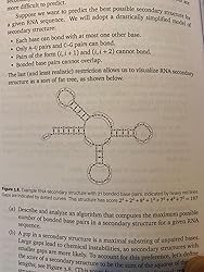Algorithms: 9781792644832: Computer Science Books @ Amazon.com