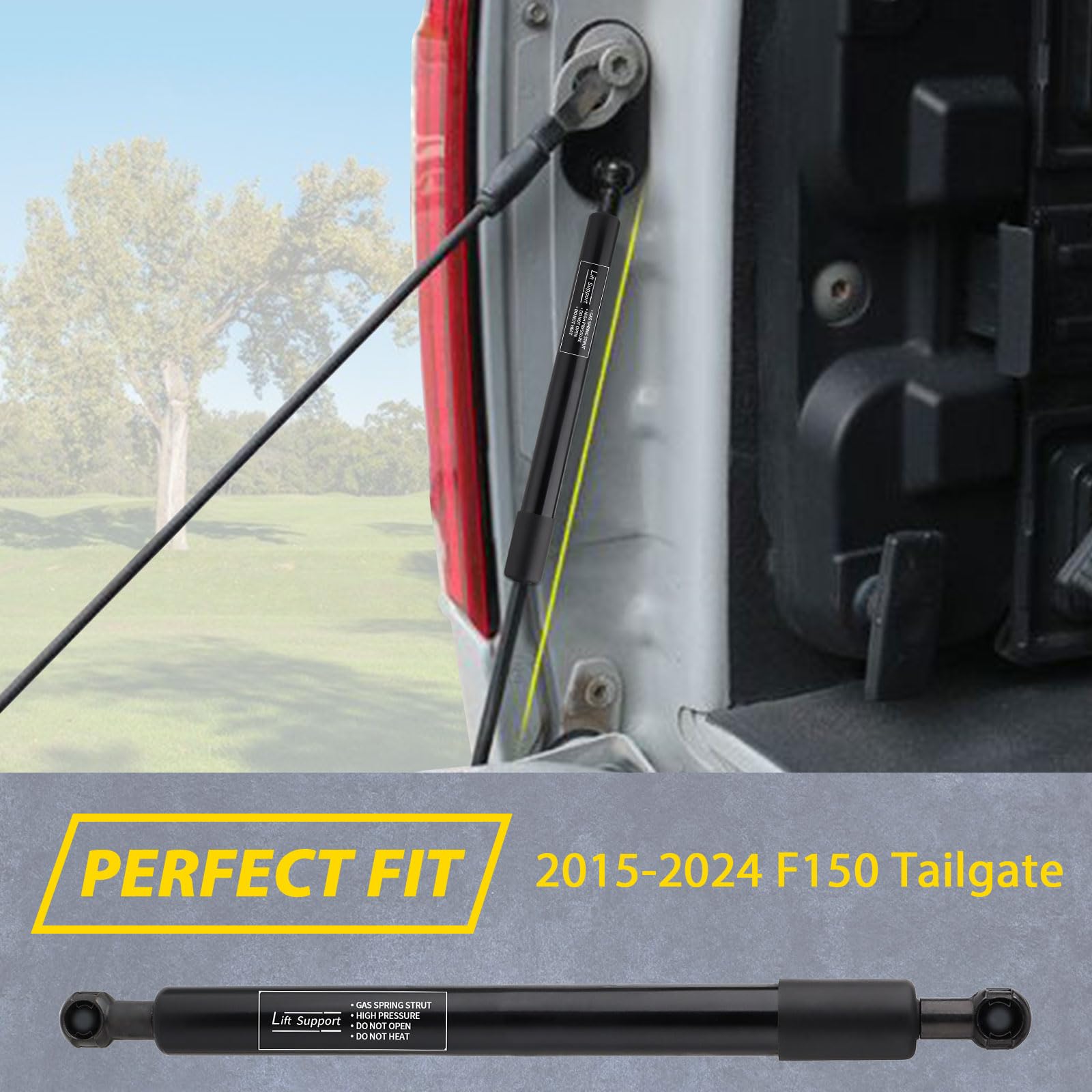 Snapklik.com : Tailgate Assist For Ford F-150 2015-2024 - Heavy Duty ...