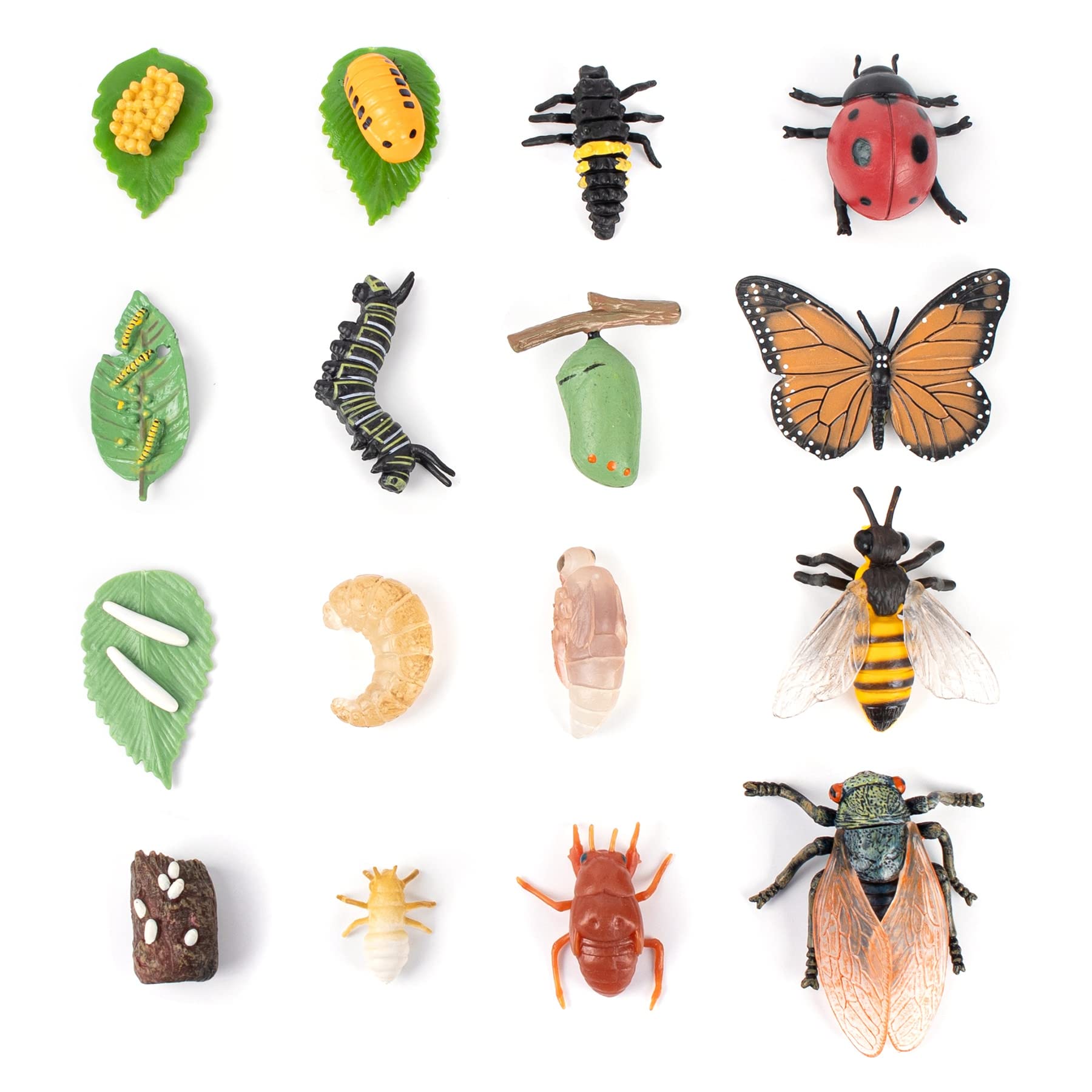 Buy Framendino, 16 Pack Sea Animal Insect Life Cycle Figurines of ...