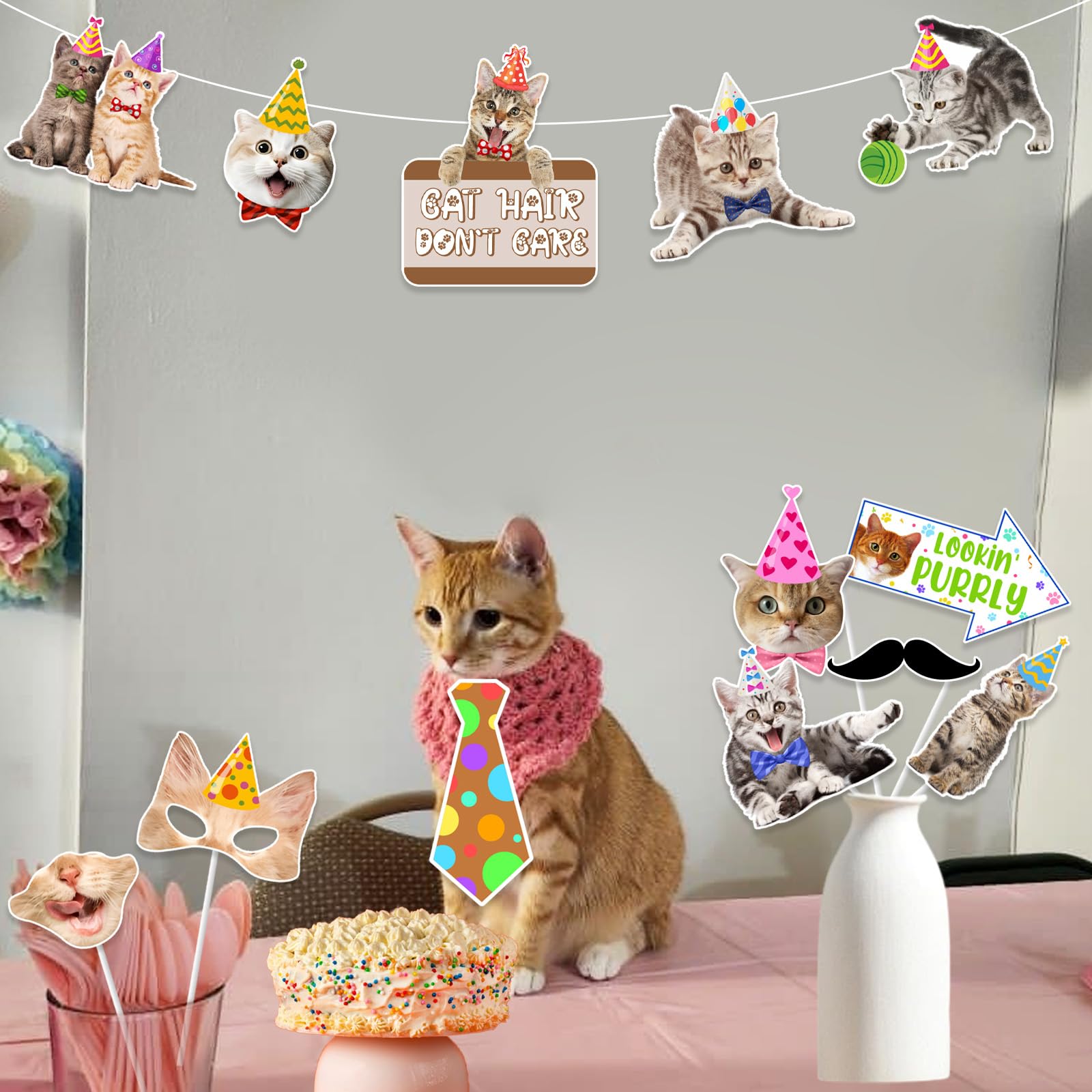 Birthday Party Cats 15 Purr Fect Cat Birthday Party Ideas » Thrifty