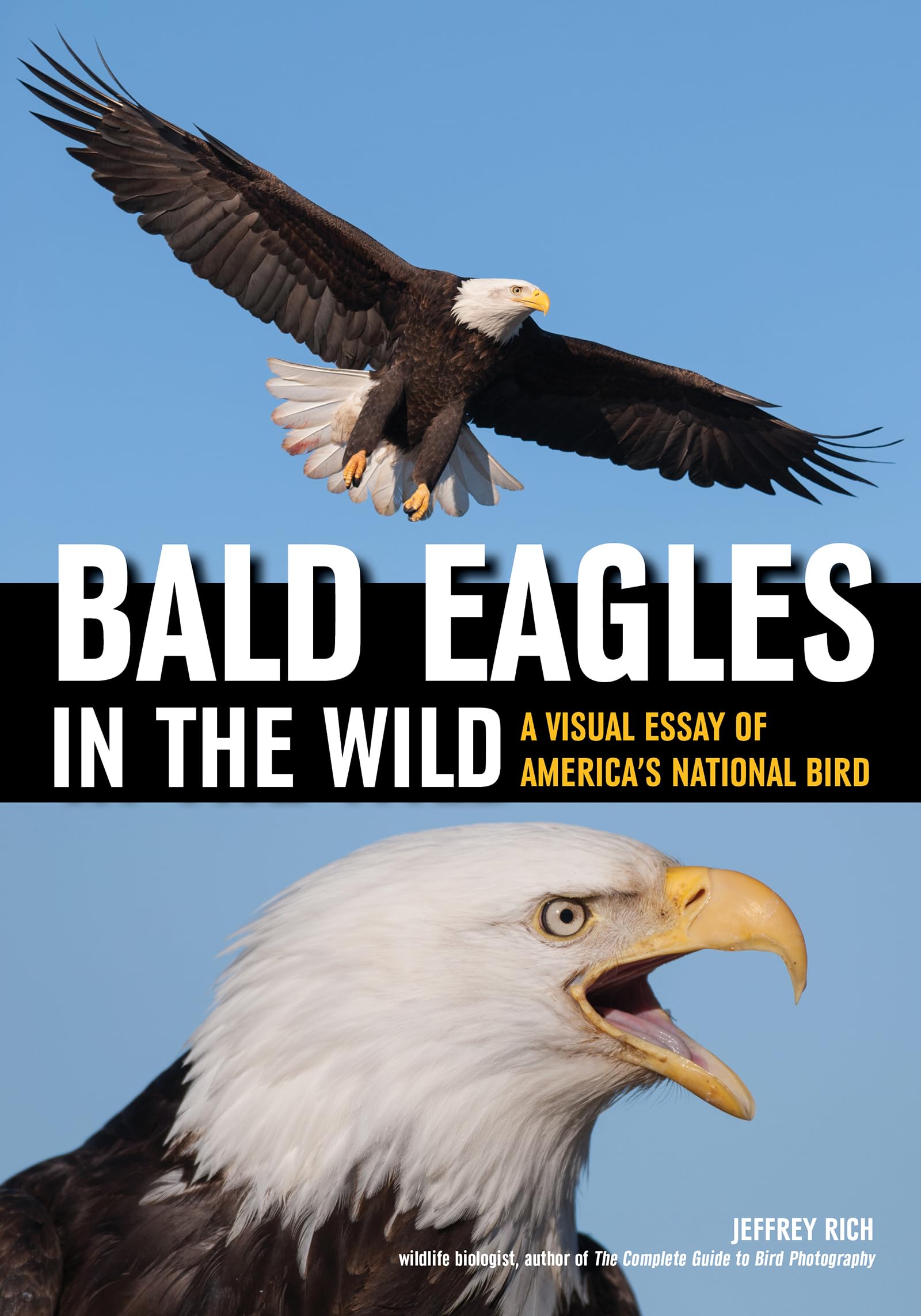 Amazon.com: Bald Eagles In The Wild: A Visual Essay of America's ...
