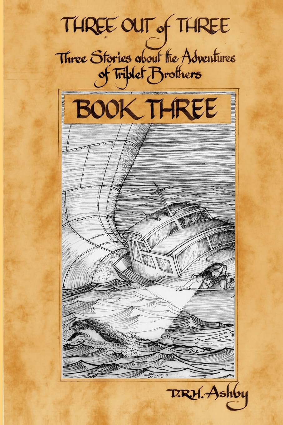 Three out of Three - Book Three: Ashby, D.R.H.: 9781927233108: Amazon ...