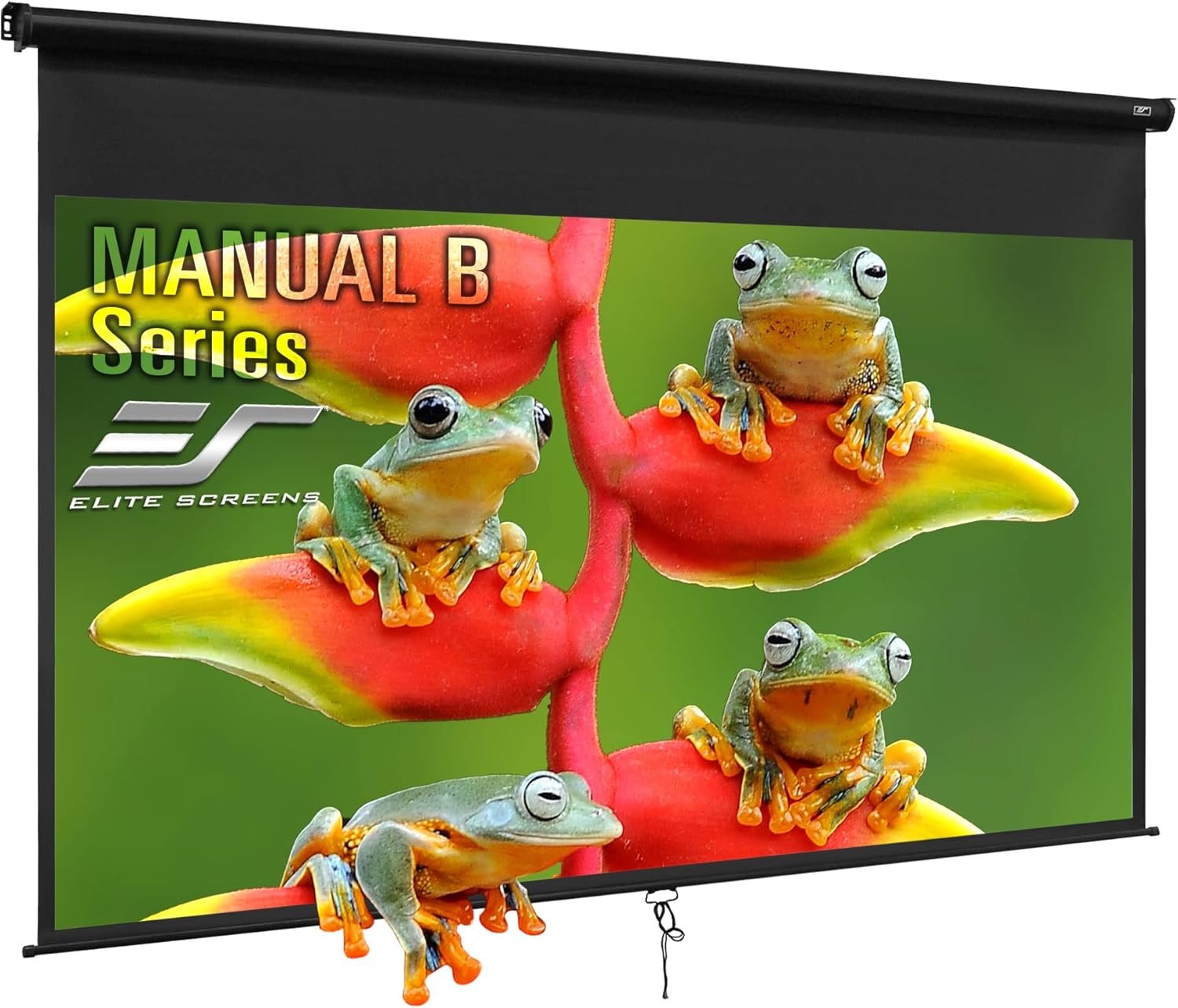Elite Screens Manual B 120-INCH Projector Screen Philippines | Ubuy