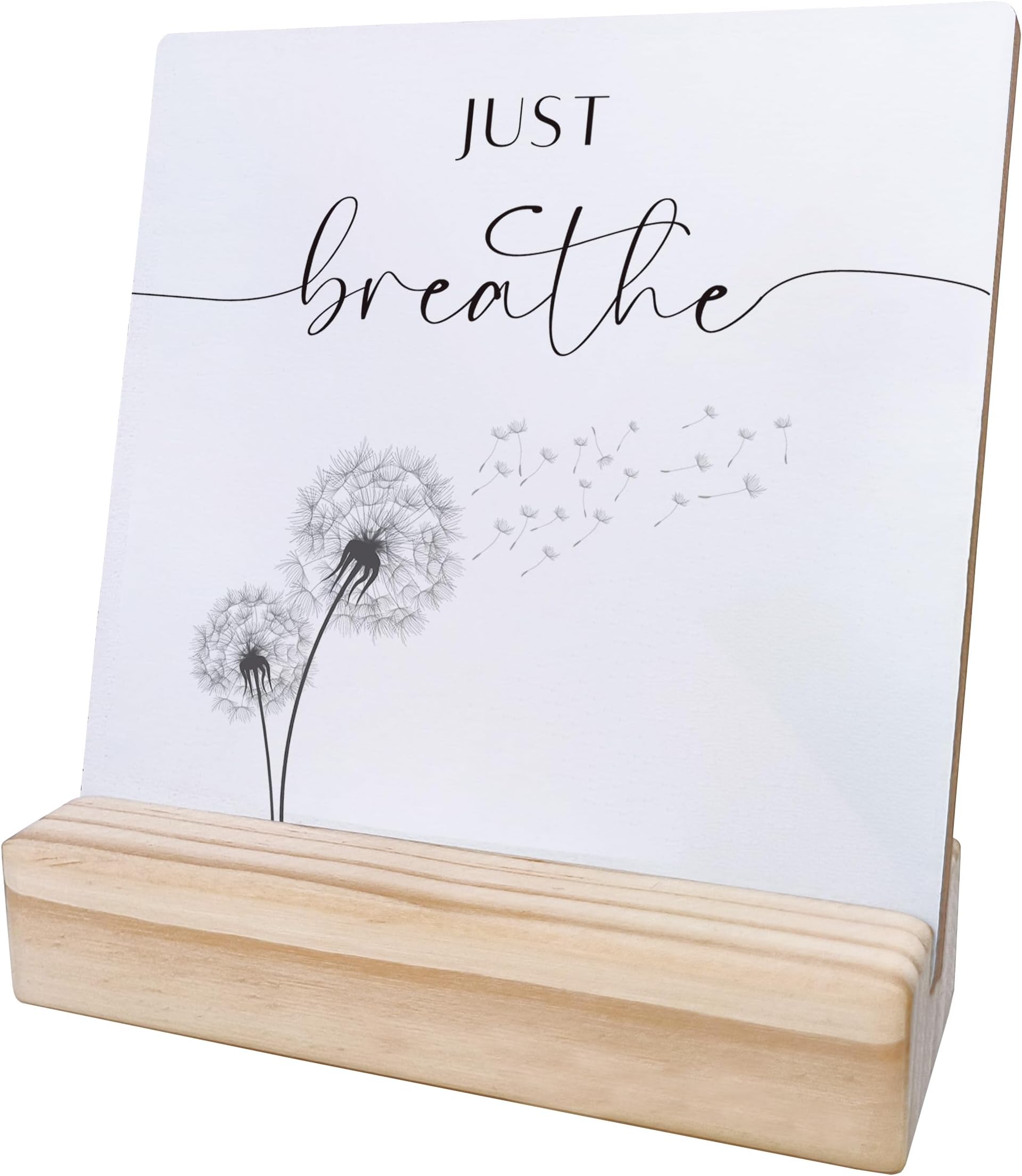 Amazon.com : Rustic Farmhouse Style Just Breathe Dandelion Box Sign ...