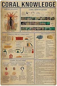 Amazon.com: Coral Knowledge Metal Tin Signs Retro Coral Infographics ...