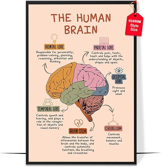 Amazon.com: LOLUIS The Human Brain Poster, Boho Mental Health Posters ...