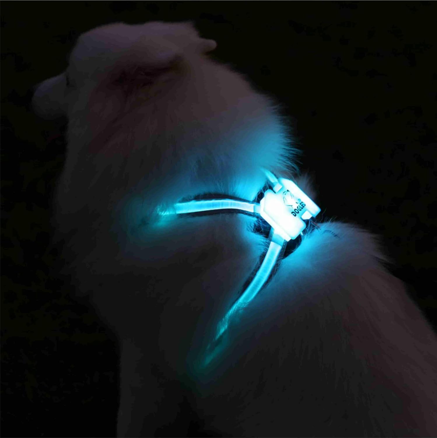 Amazon.com : CC SIMON Dog Harness LED Light Up,USB Rechargeable ...