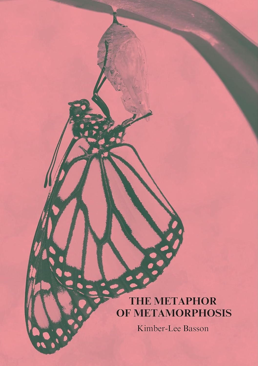 THE METAPHOR OF METAMORPHOSIS: POETRY COLLECTION - Kindle edition by ...