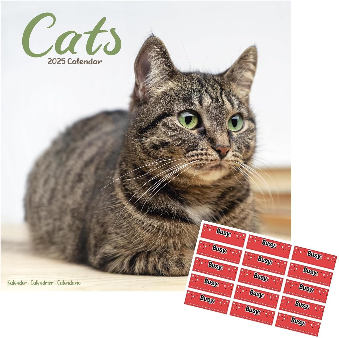 2025 Cats Monthly Wall Calendar by Bright Day, Includes Over 300 ...