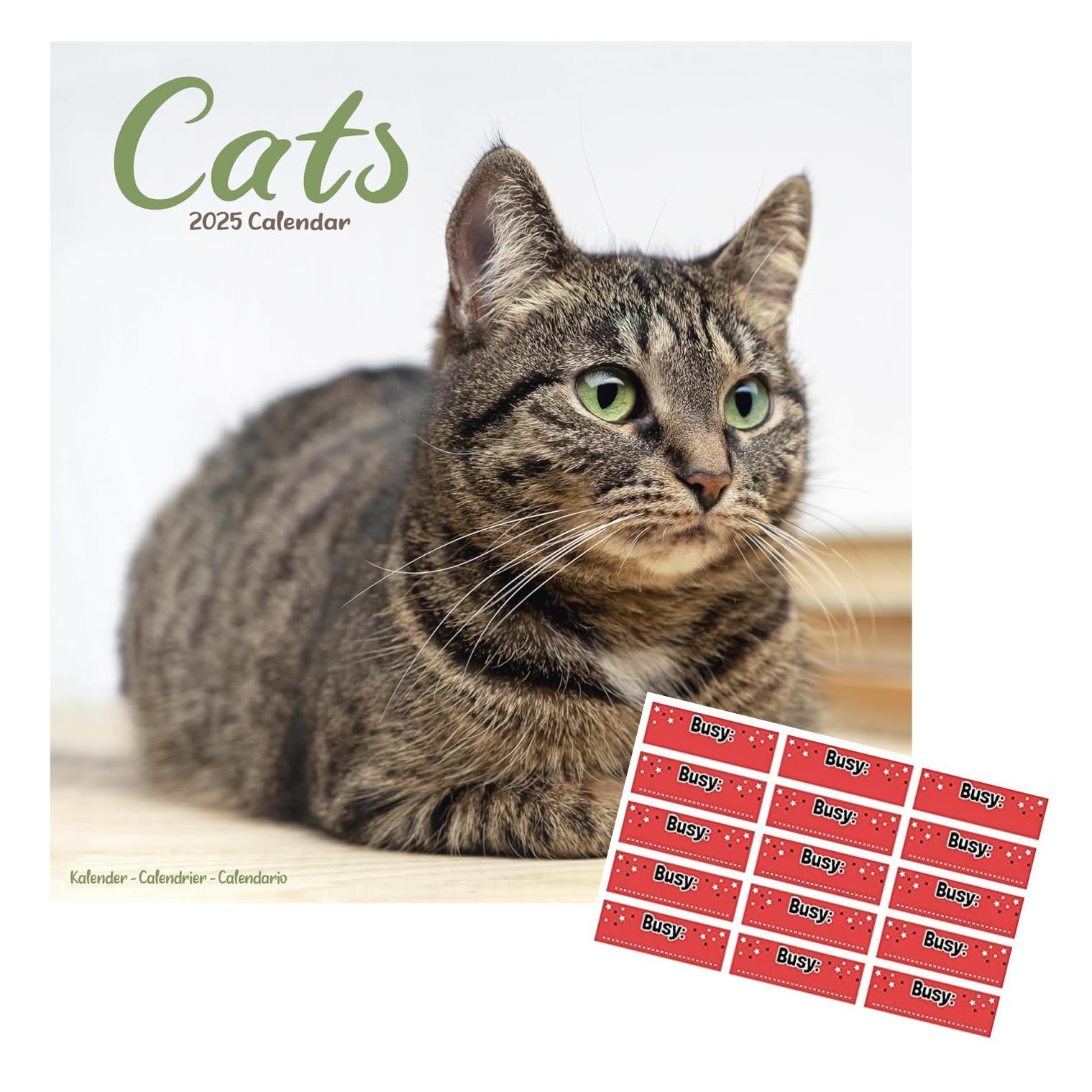 Cats Calendar 2025 | 16 months | with FREE Organisational Stickers ...
