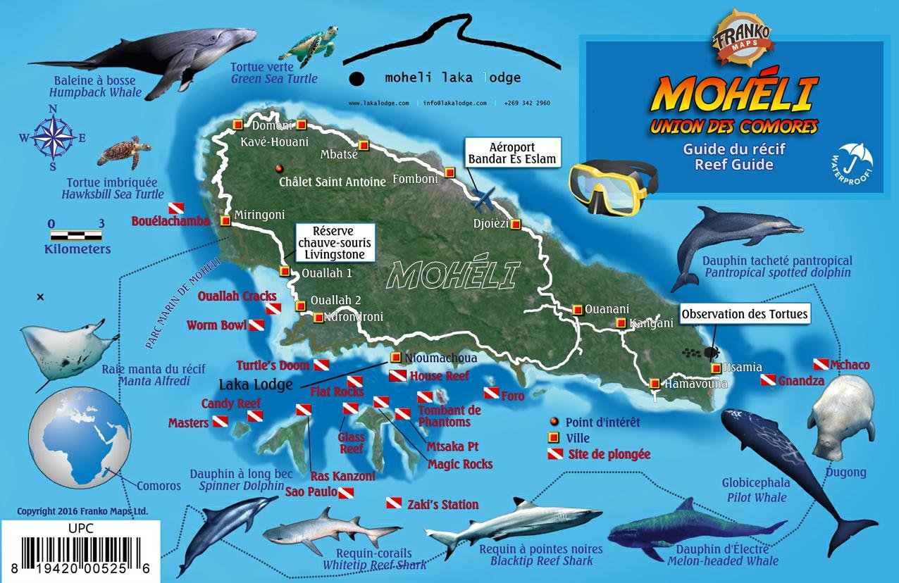 Moheli Comoros Islands Africa Dive Map And Reef Creatures Laminated ...