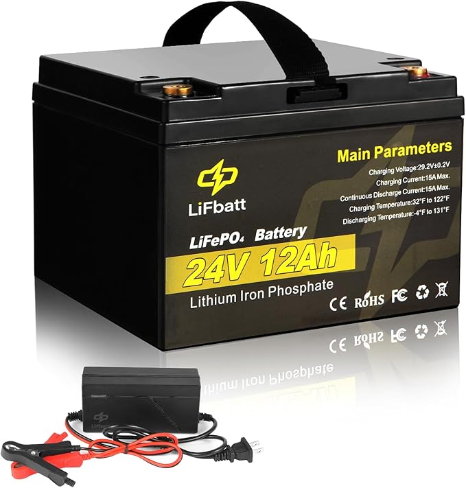 Amazon.com: 24V 12Ah LiFePO4 Battery Lithium Iron Phosphate ...