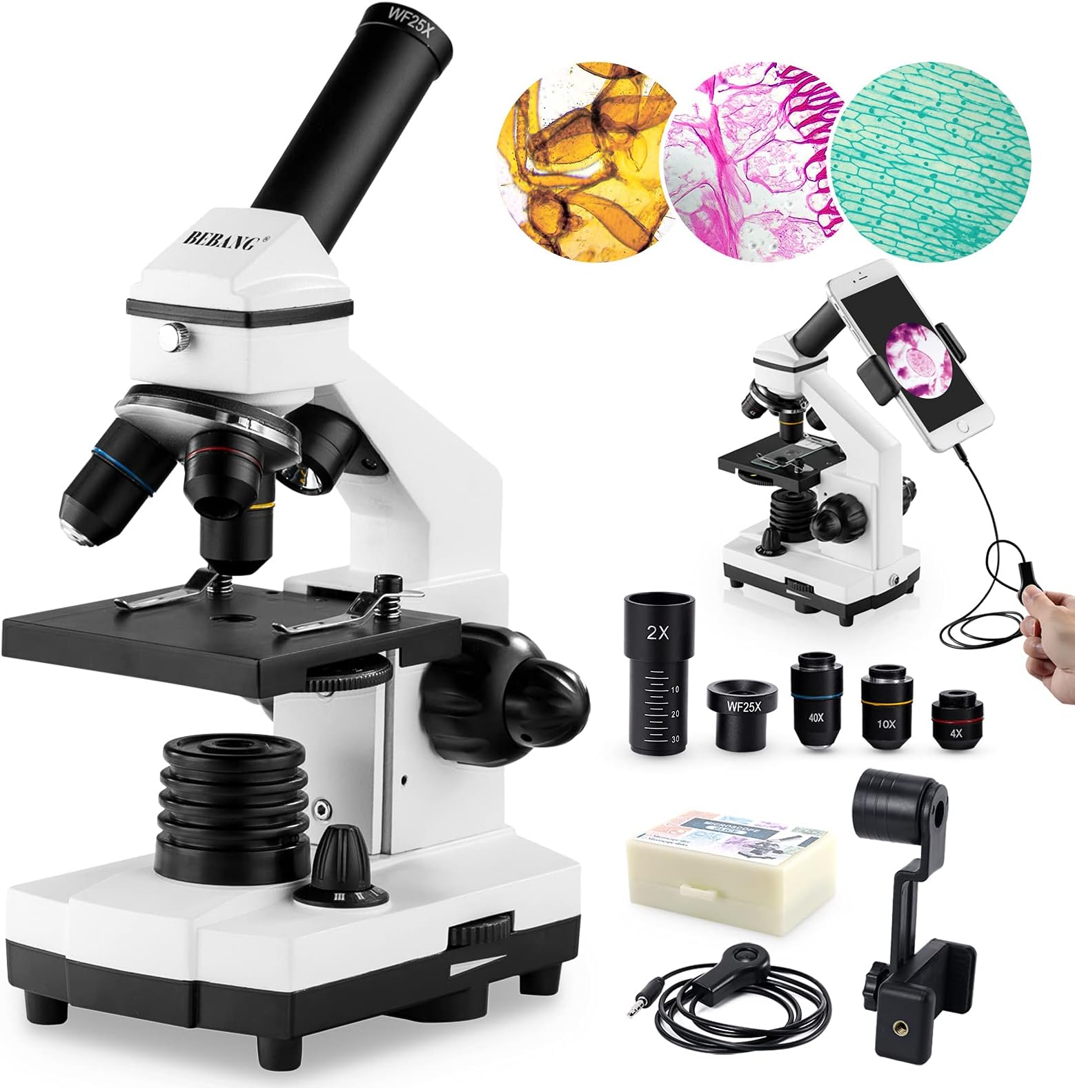 Amazon.com: Microscope for Adults Kids, 100X-2000X BEBANG Compound ...