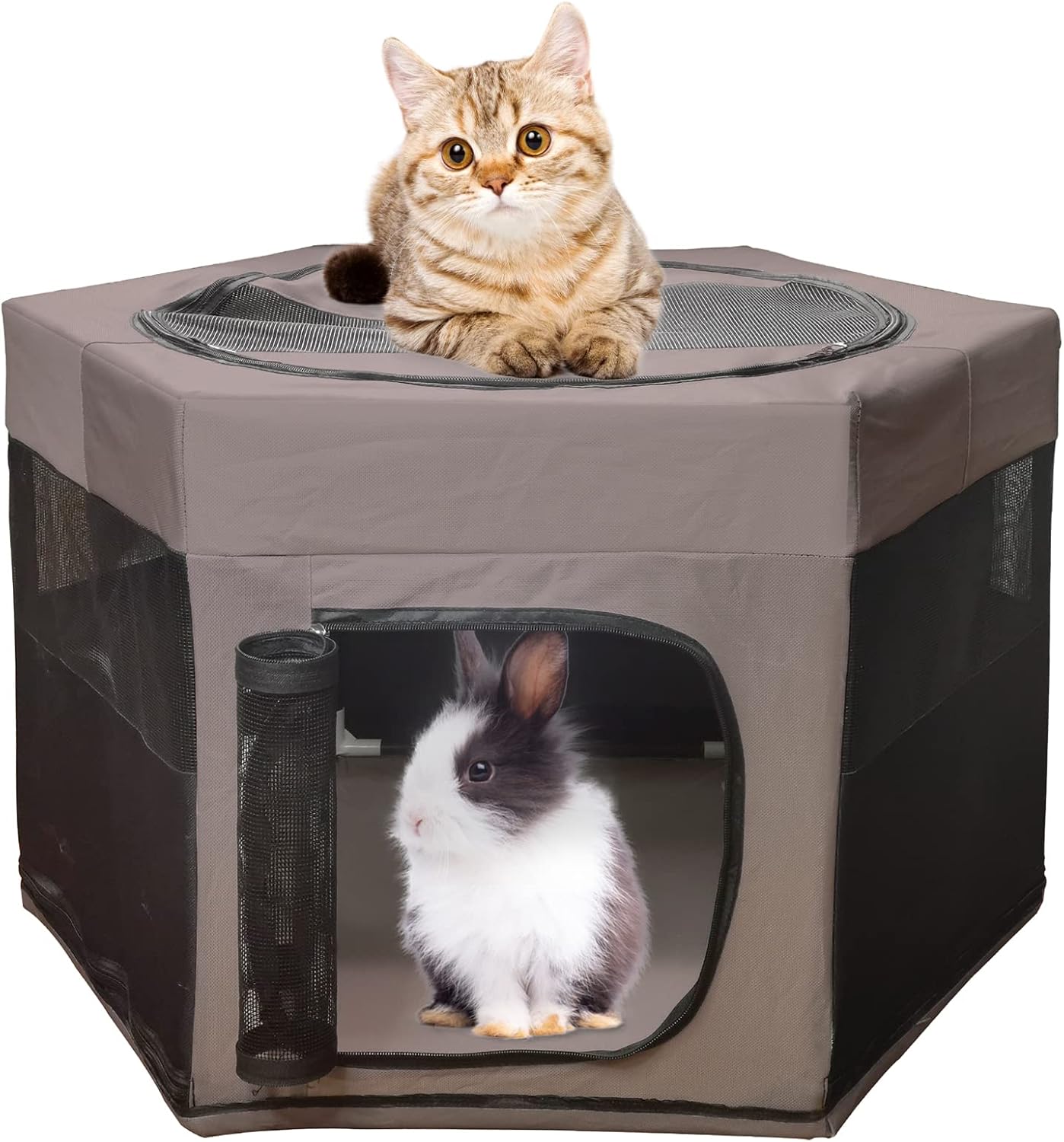 Amazon.com: Fhiny Portable Rabbit Playpen, Breathable Small Animal Tent ...