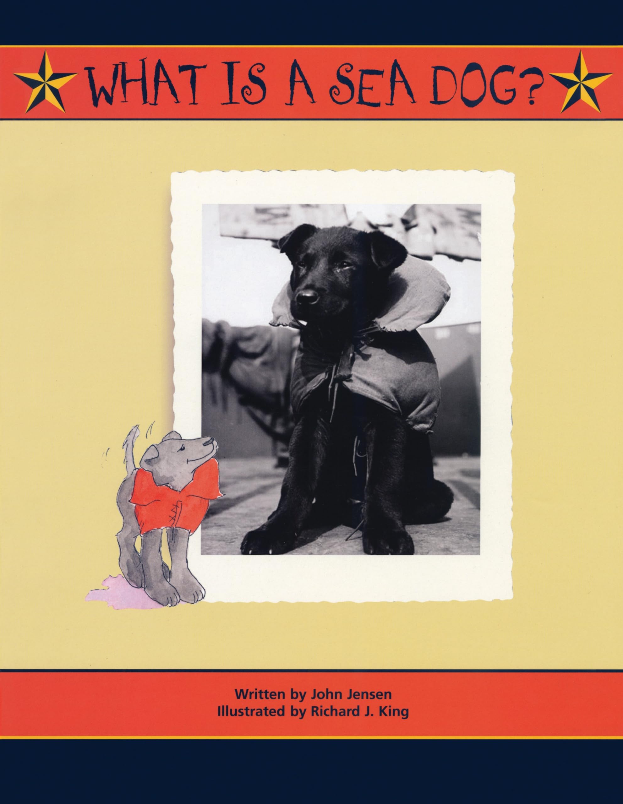 What Is a Sea Dog?: Jensen, John, King, Richard J.: 9781493073269 ...