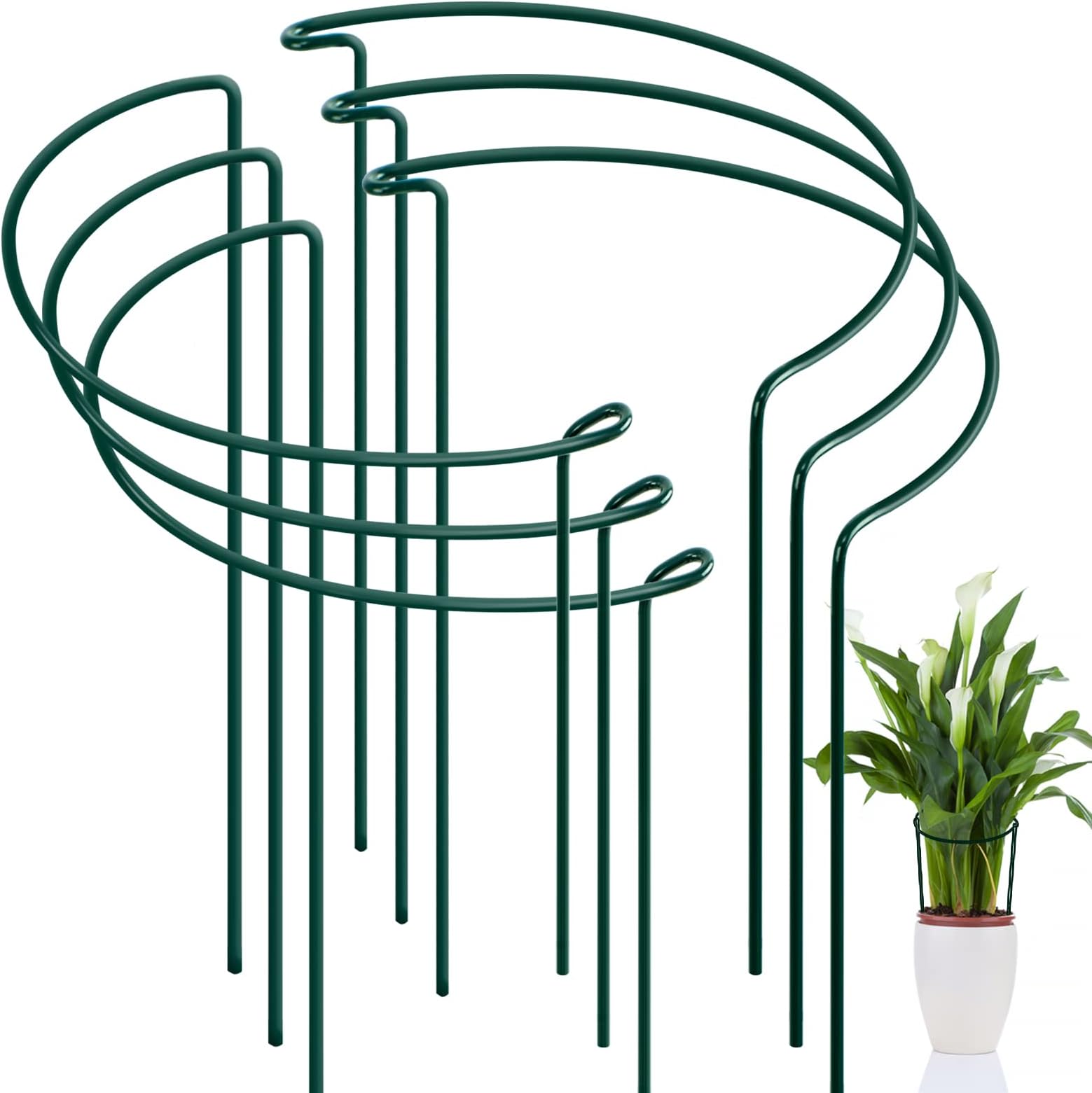 Amazon.com : JOYSEUS 6 Pack Plant Support Stakes, Metal Garden Plant Stake, Green Half Round ...