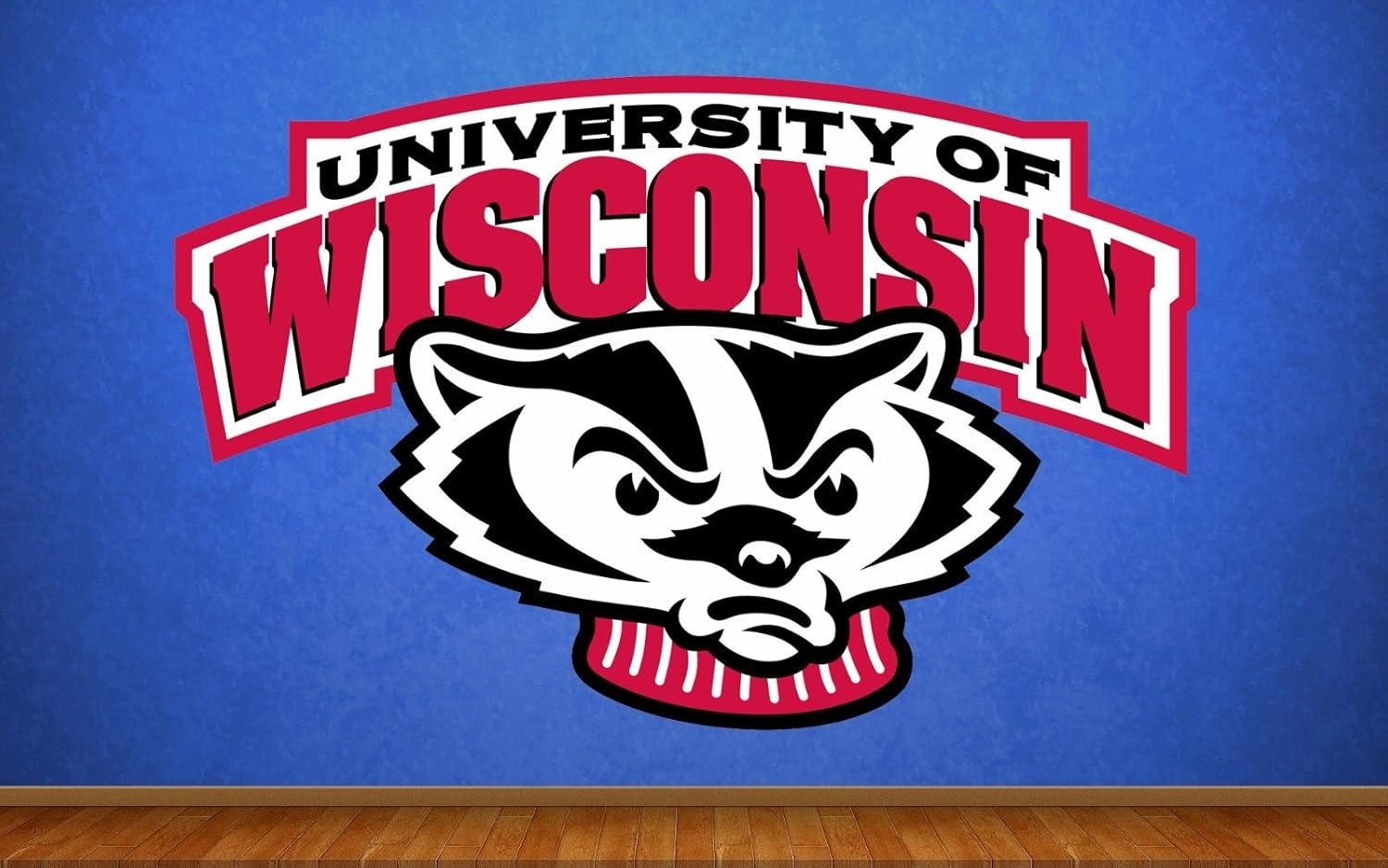 Amazon.com: Wisconsin Badgers Logo full color sticker, Badgers decal ...