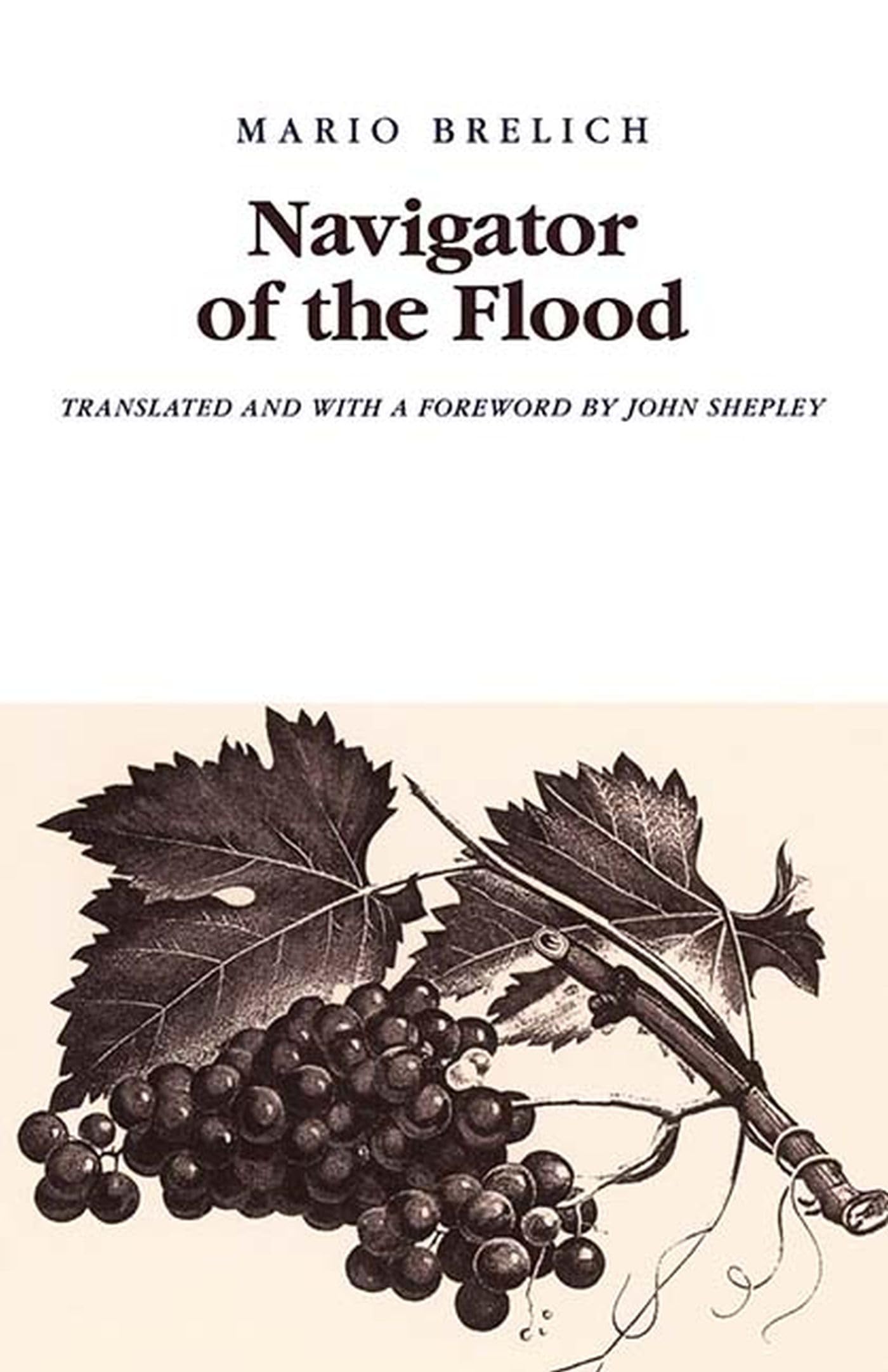 Amazon.com: Navigator of the Flood: 9780910395793: Brelich, Mario ...