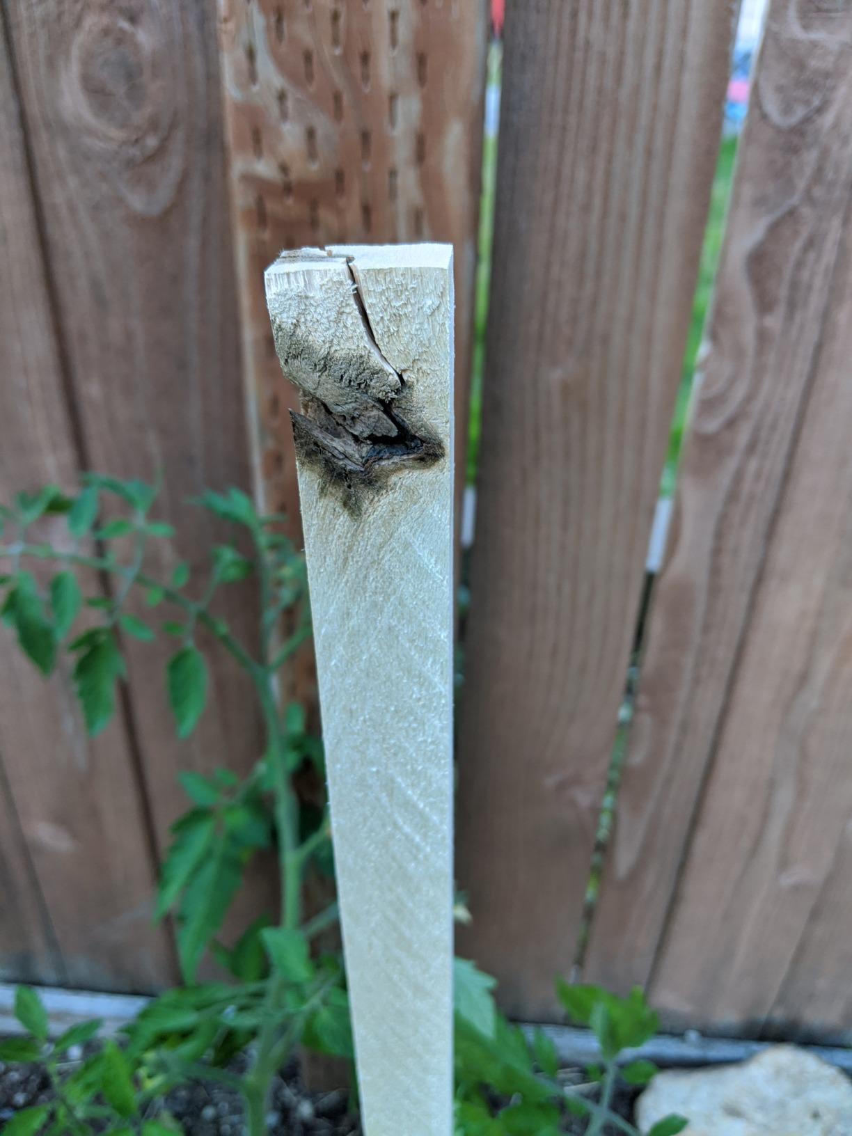 Amazon.com: Walnut Hollow Wood Stake for Gardens, Signs and Projects ...
