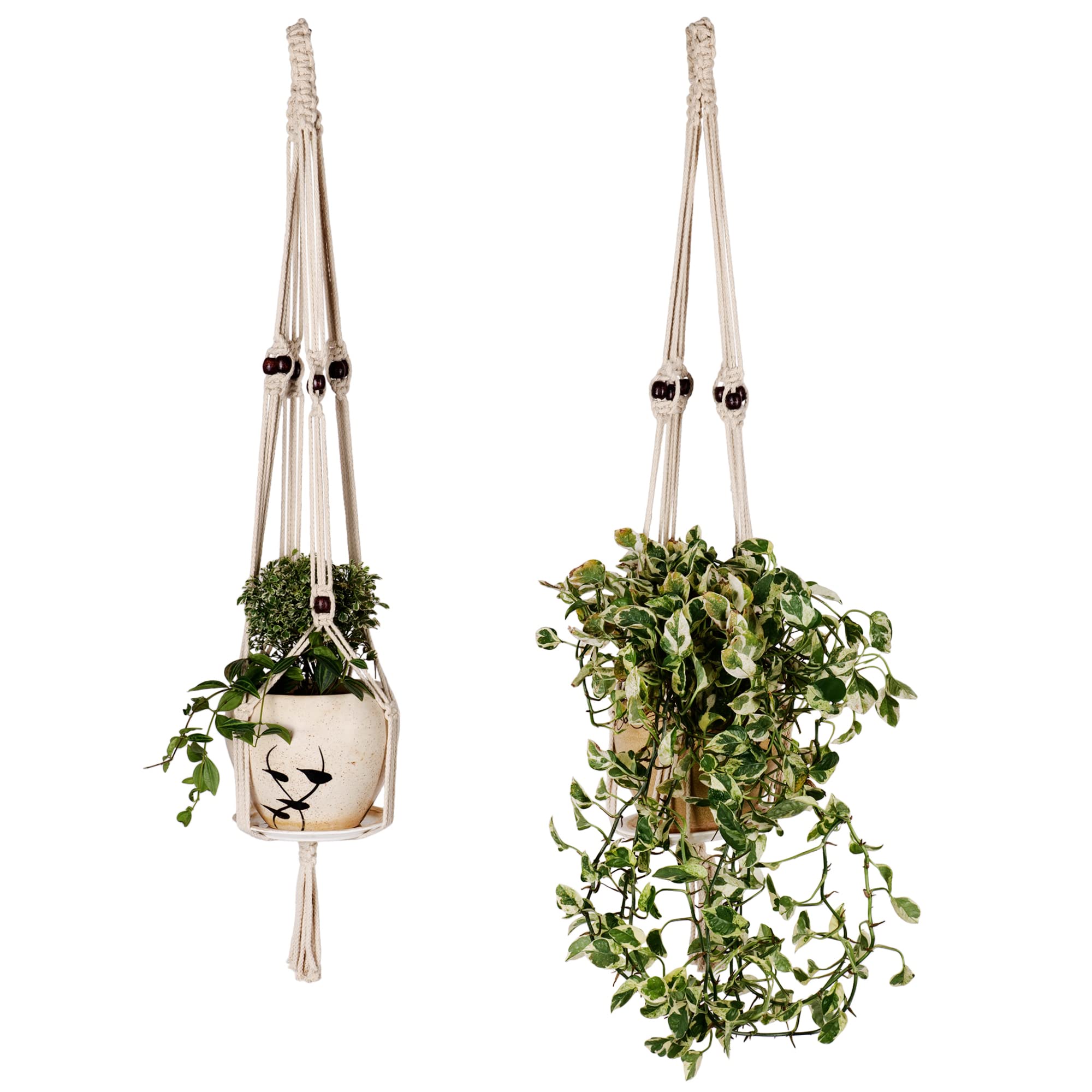 Green Roots Macrame Cotton Rope Plant Hanger/Hanging Planter, Flower ...