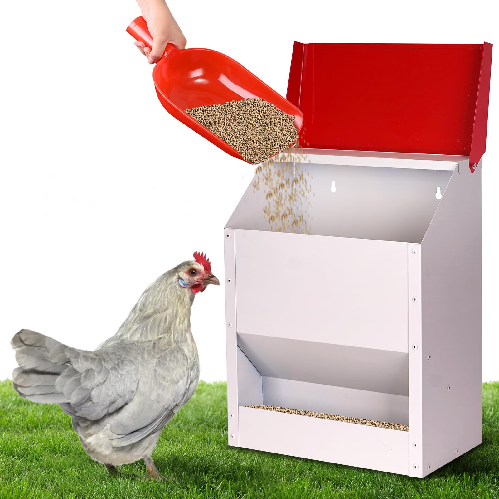 Wall Mounted Chicken Feeder Peck It Clean Veggie Feeder For Chickens