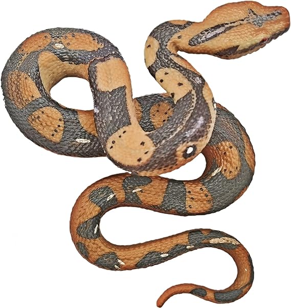 Amazon.com: Kipviare Realistic Snakes Toy Rubber Figure: Snake Trick ...