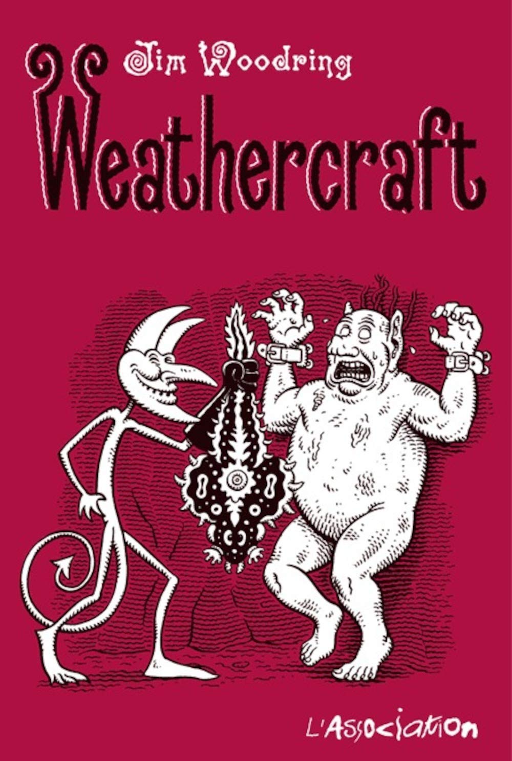 Amazon.com: Weathercraft: 9782844143907: Woodring, Jim: Books