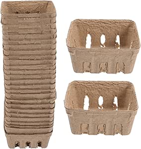 Amazon.com: GRADENEVE Sturdy Berry Baskets 50pcs Paper Pulp Berry Boxes ...