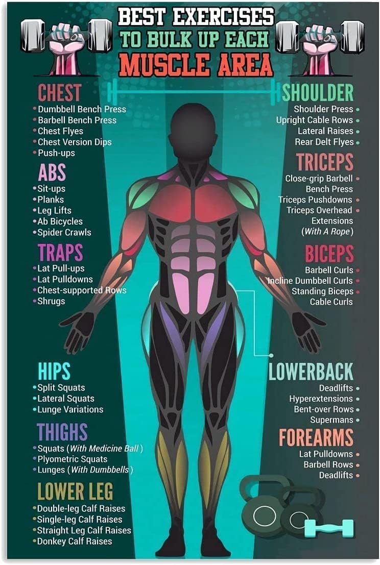 Amazon.com: Muscle Building Knowledge Metal Tin Signs Vintage Best ...