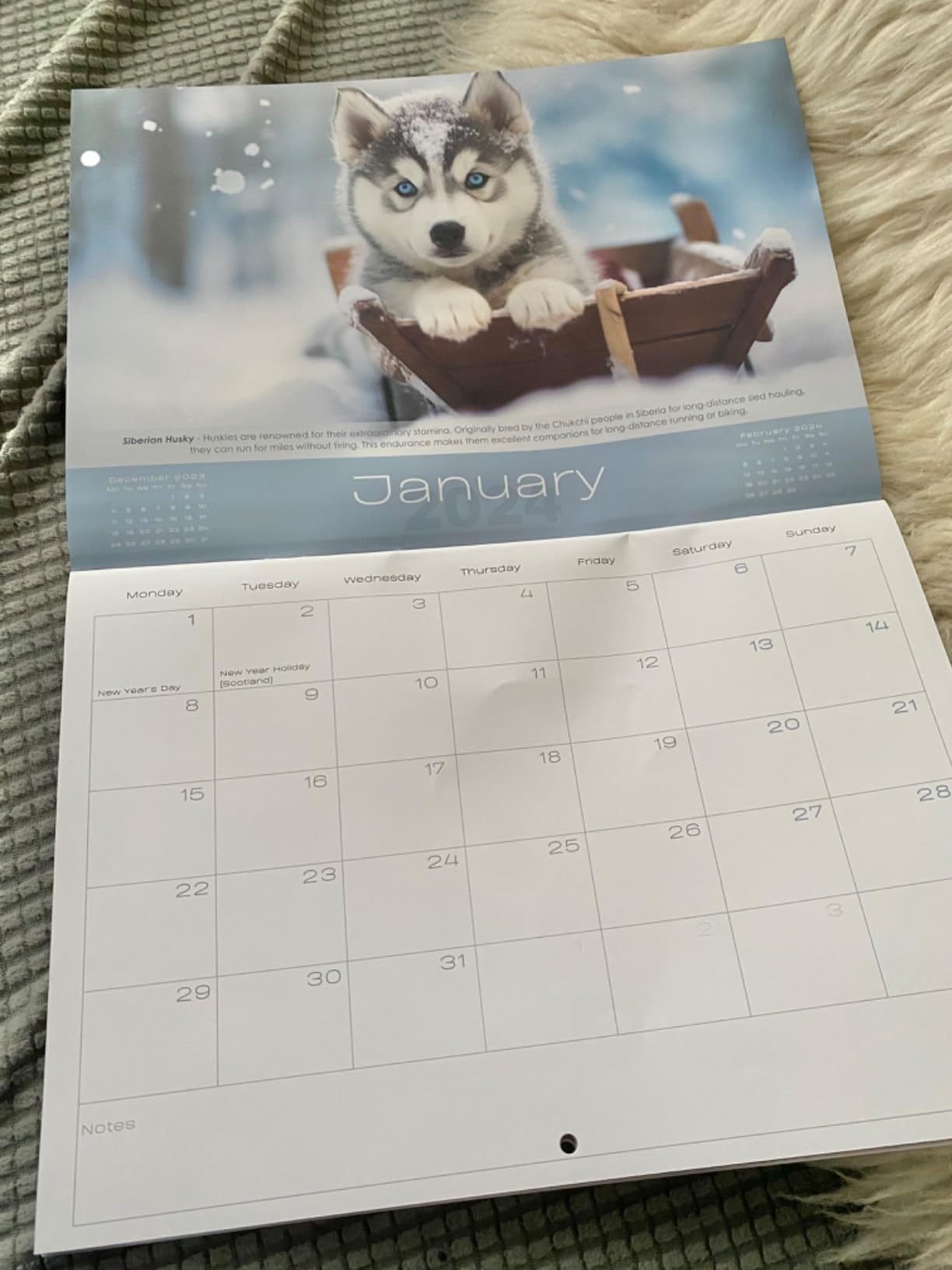 2024 Calendar - Adorable Puppies: 13 Months of Super Cute Images, UK ...