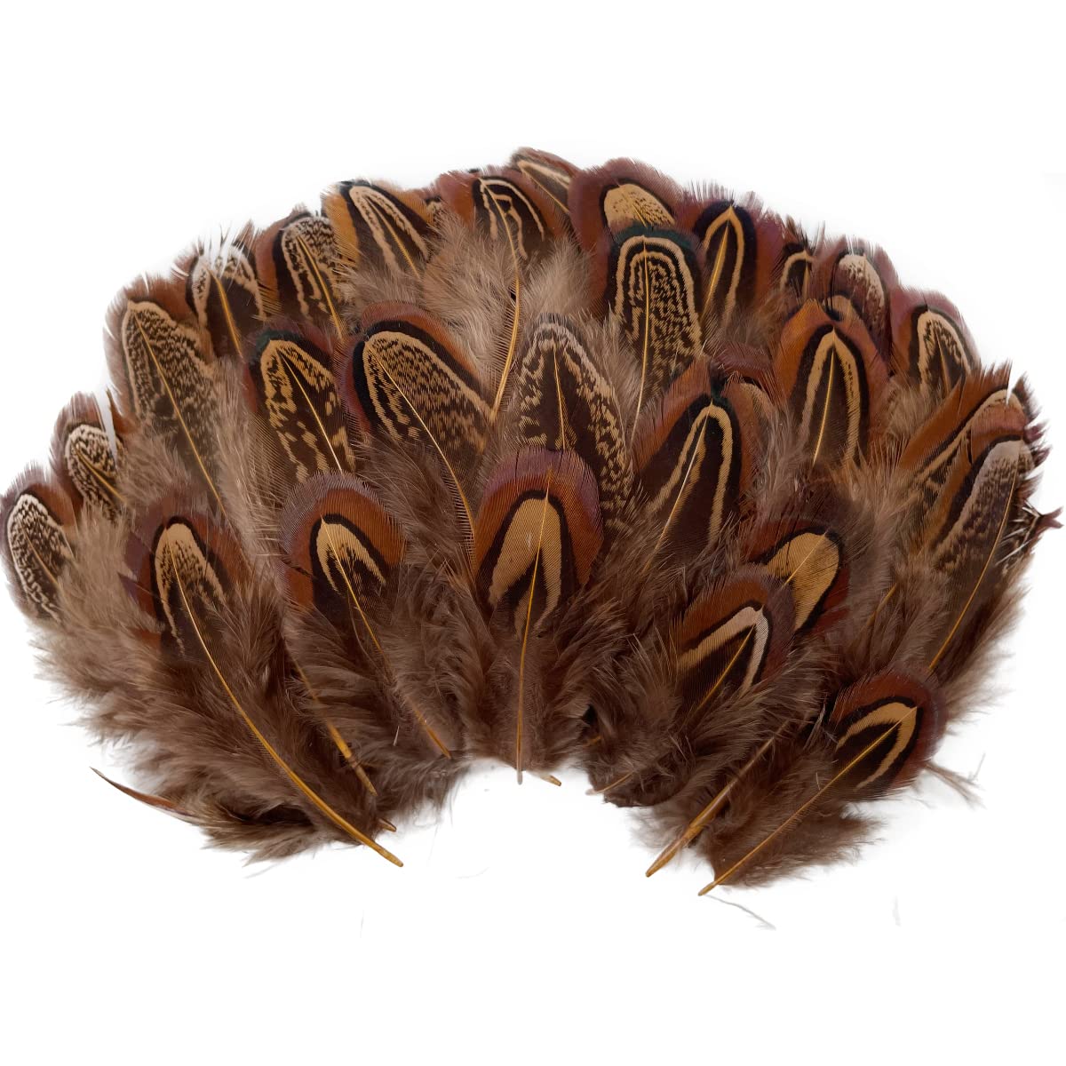 Amazon.com: 100pcs Brown Pheasant Feathers 2-3 Inches Fluffy Spotted ...