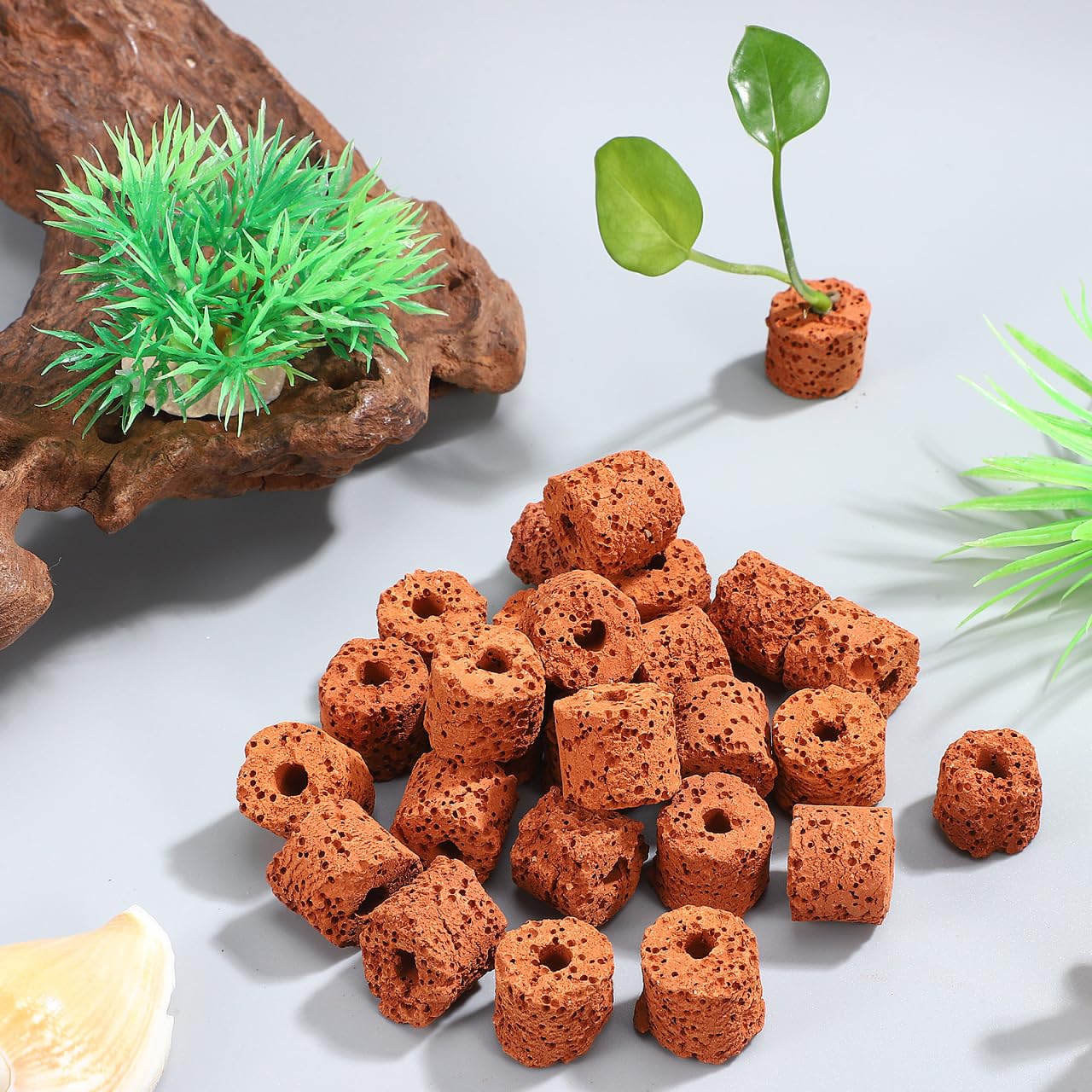 Snapklik.com : Aquarium Plant Anchors 30pcs Aquatic Fixed Ring Water ...