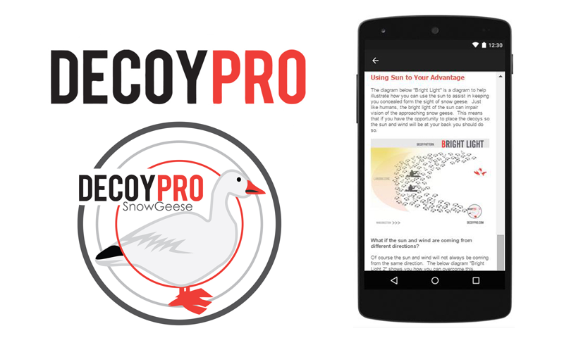 Snow Goose Hunting Diagrams, Snow Goose Decoy Spreads - DecoyPro:Amazon ...