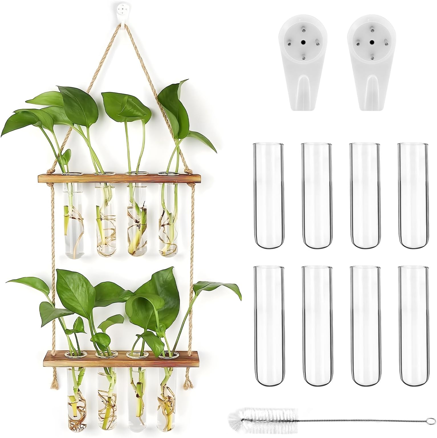 BlogBlog Test Tube Propagation Station Wall Hanging Glass Planter (5 ...