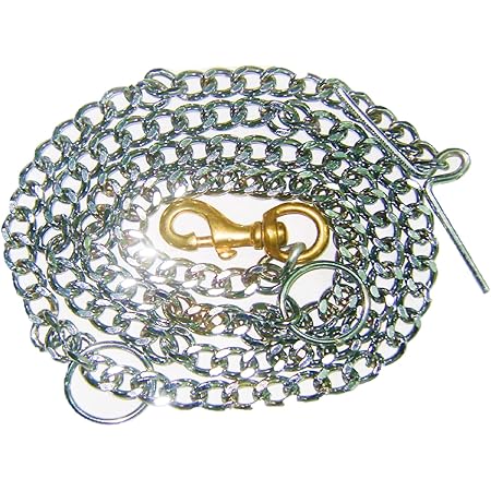 JAPIN Silver Metal Super Dog Leash Diamond Cut Heavy Duty Dog Chain ...