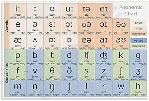 Amazon.com: English International Phonetic Alphabet Poster IPA ...