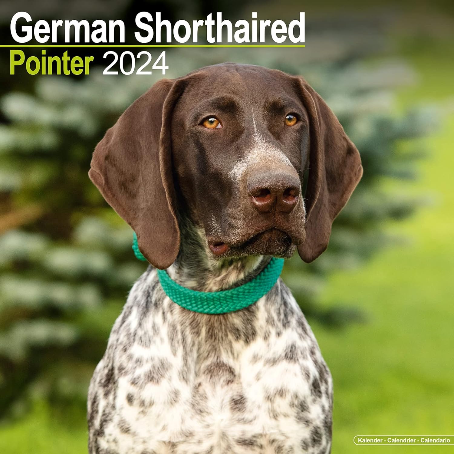 German Shorthair Pointer Calendar - Dog Breed Calendars - 2023 - 2024 ...