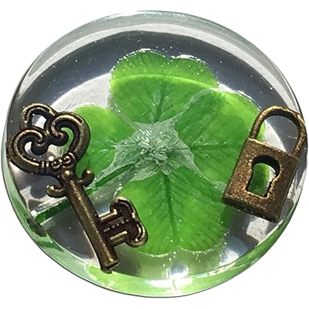 Amazon.com: Real Four Leaf Clover Good Luck Pocket Token, Preserved, 1. ...