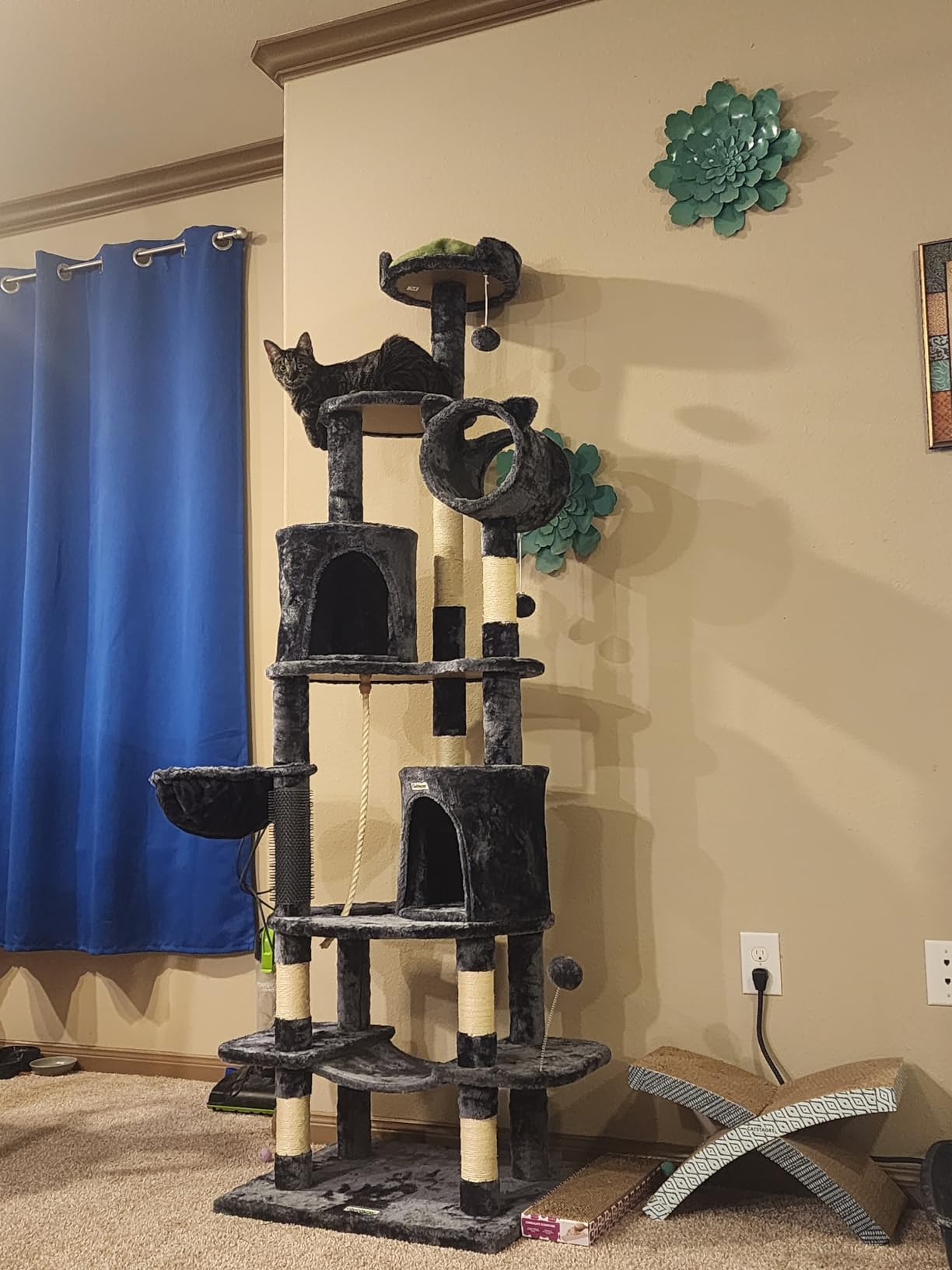 $21/mo - Finance Globlazer Tall Cat Tree, Curved Series 81-inch Cat ...