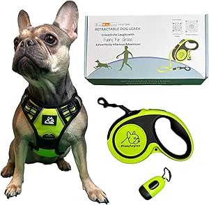 Amazon.com : Funny Fur Grace - Neon Green 3-in-1 Comfort Fit Adventure ...