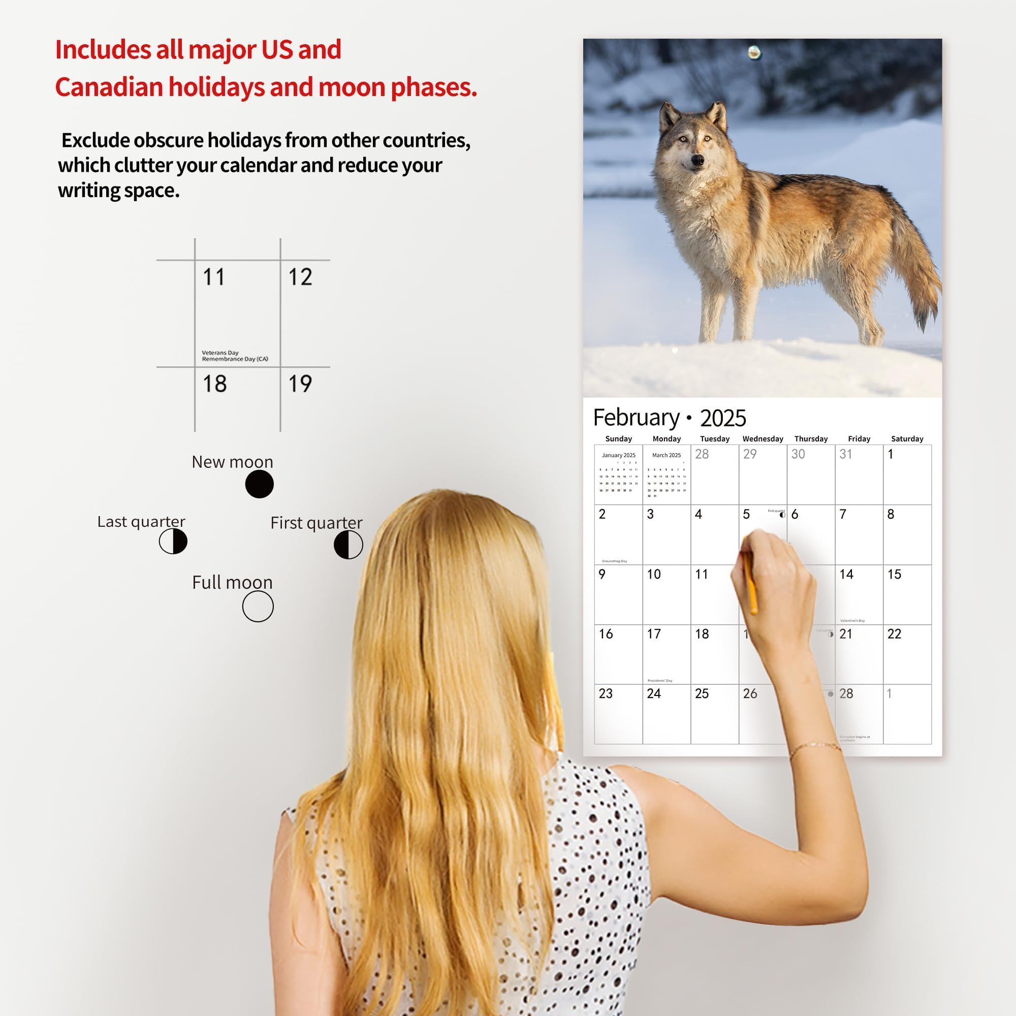 Snapklik.com : 2025 Wall Calendar,Calendar 2026, January 2025 - June ...