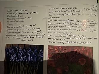 The Cut Flower Sourcebook: Exceptional perennials and woody plants for ...