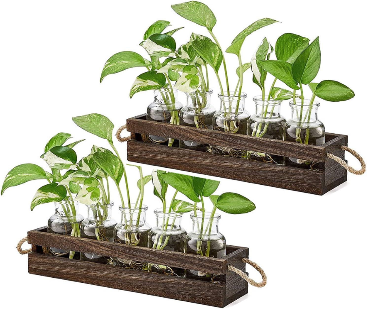 Amazon.com: Planters Terrarium for Indoor with Wooden Stand - Esmiome ...