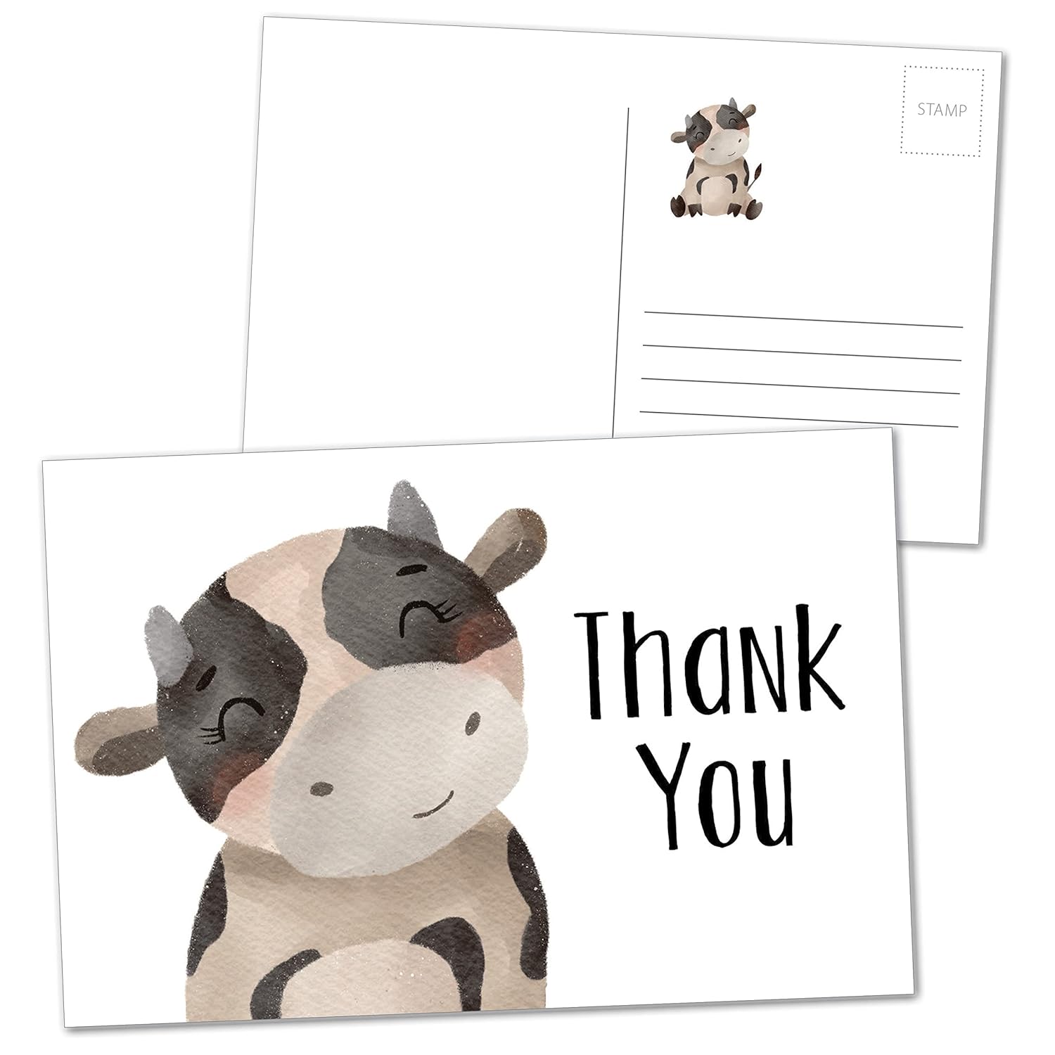 Amazon.com: 25 Cow Postcard Thank You Notes for Farm Barnyard Baby ...