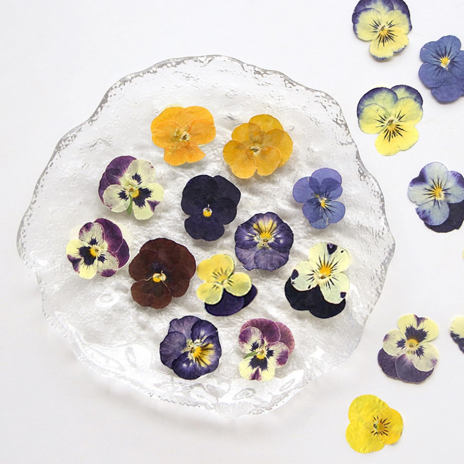 Amazon.com: QVQQ Pressed Flowers Bulk Dried Flowers for Candle Making ...